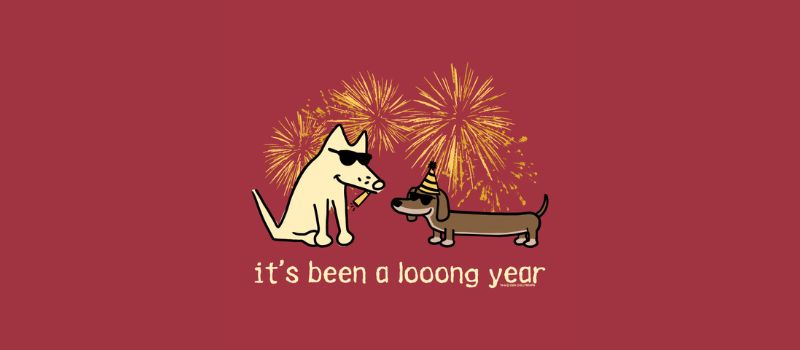 It's Been a Long Year – Teddy the Dog