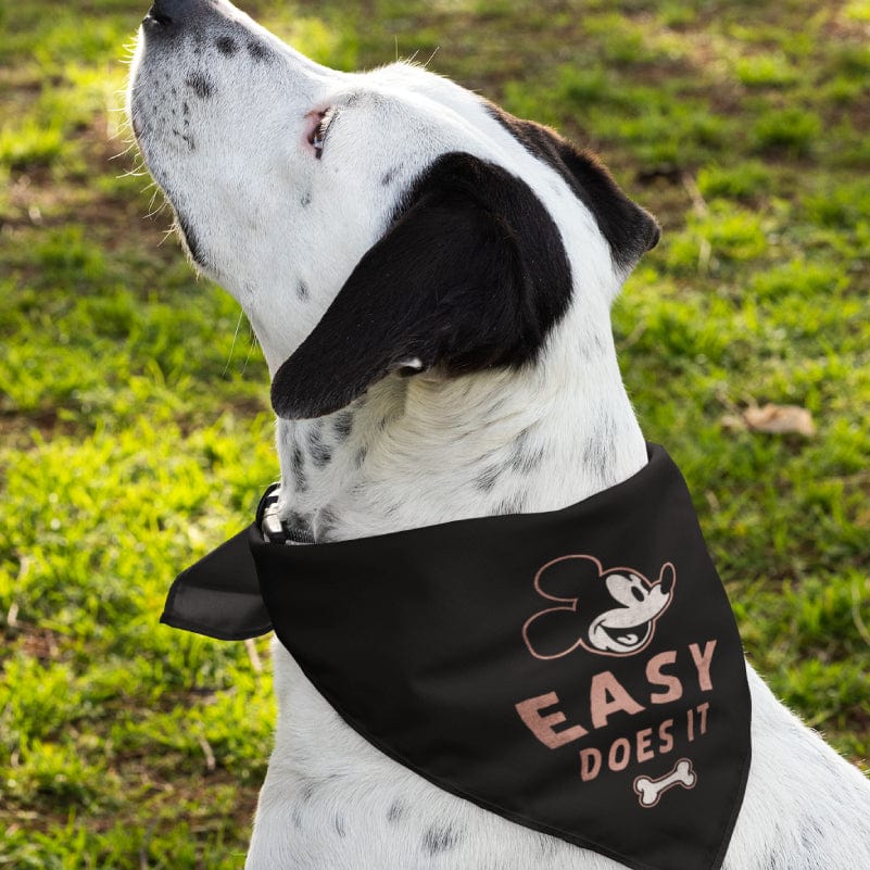 Easy Does It Willie - Doggie Bandana – Teddy the Dog