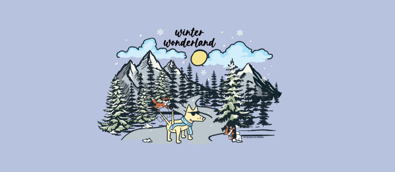 Walkin' in a Wonderland – Teddy the Dog