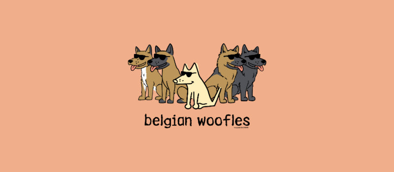 Belgian Woofles – Teddy the Dog