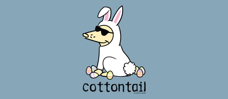 Cottontail – Teddy the Dog