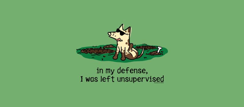 In My Defense I Was Left Unsupervised – Teddy the Dog