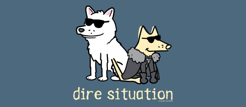 Dire Situation – Teddy the Dog