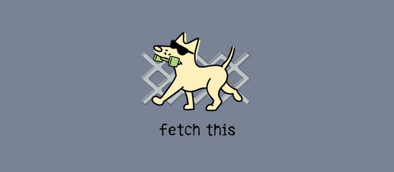 Fetch This – Teddy the Dog