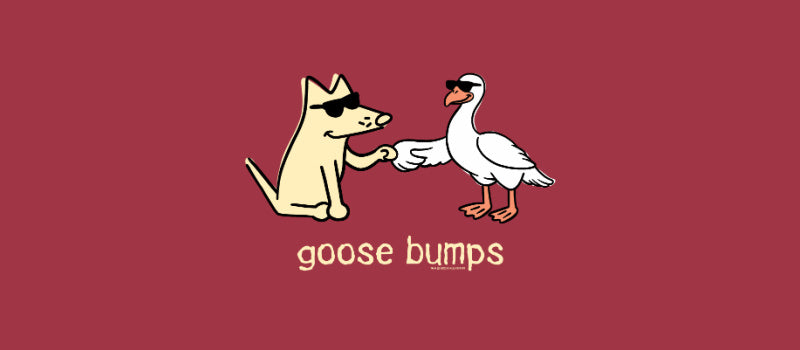 Goose Bumps – Teddy the Dog