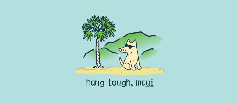 Hang Tough Maui – Teddy the Dog