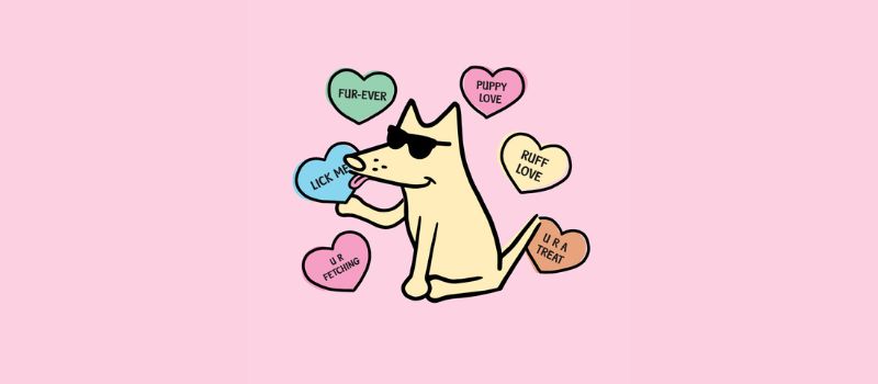 Hey Sweetheart – Teddy the Dog