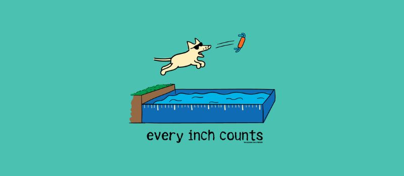 Every Inch Counts – Teddy the Dog