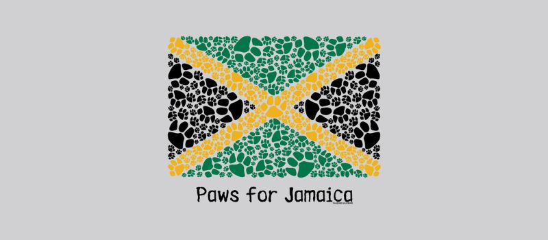 Paws For Jamaica – Tagged "sweatshirt"– Teddy the Dog