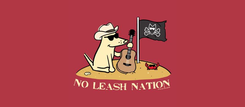 No Leash Nation – Teddy the Dog