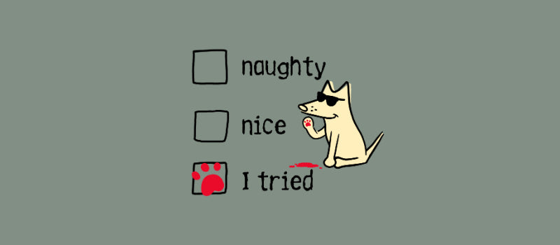 Naughty Nice I Tried – Teddy the Dog