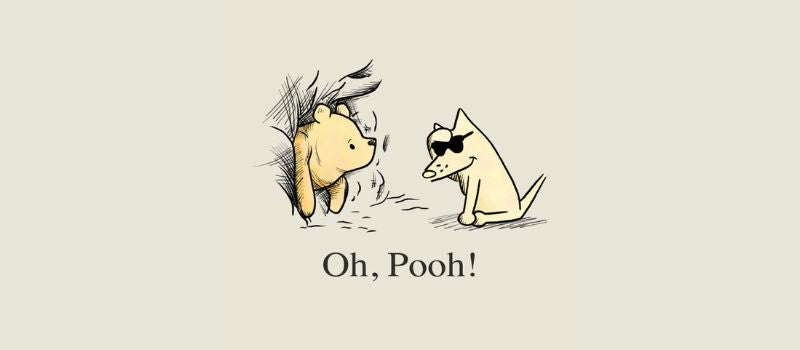 Oh Pooh – Teddy the Dog