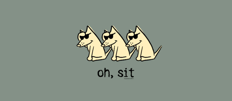 Oh Sit – Teddy the Dog