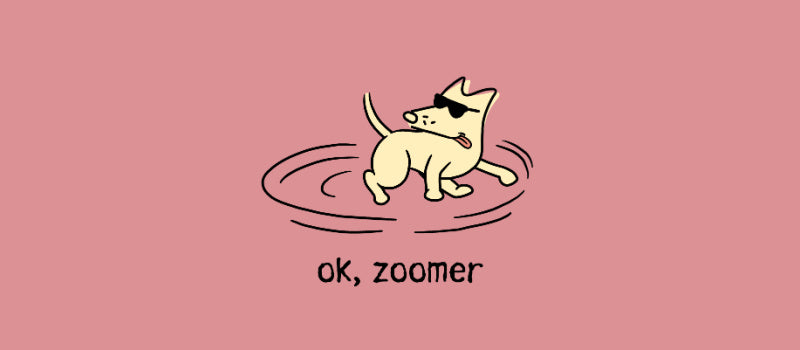 Ok, Zoomer – Teddy the Dog