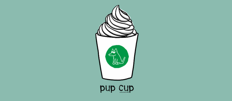 Pup Cup – Teddy the Dog