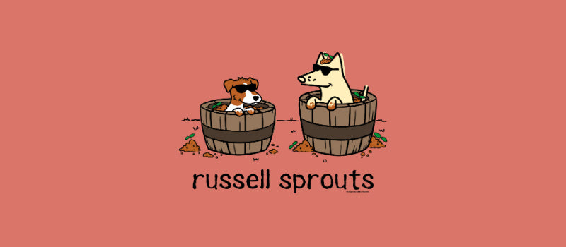 Russell Sprouts – Teddy the Dog