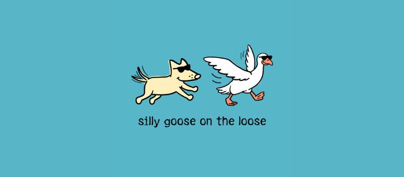 Silly Goose on the Loose – Teddy the Dog