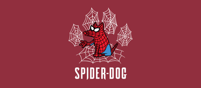 SpiderDog – Teddy the Dog