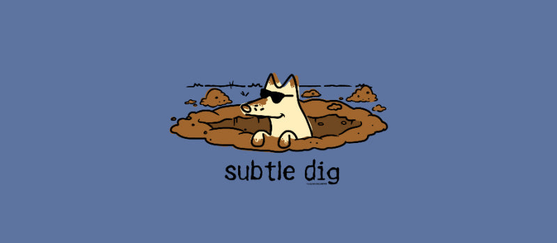 Subtle Dig – Teddy the Dog