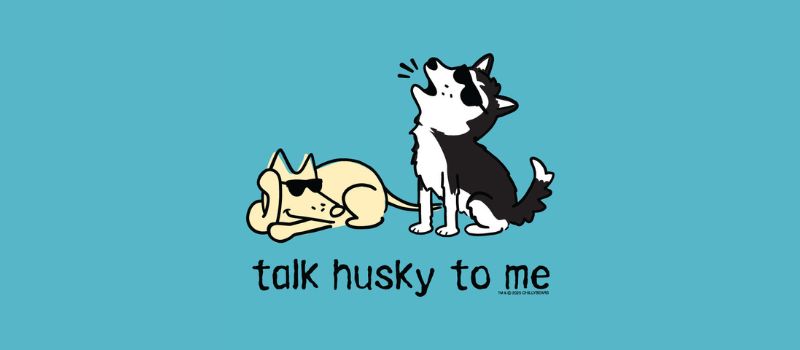 Talk Husky To Me – Teddy the Dog