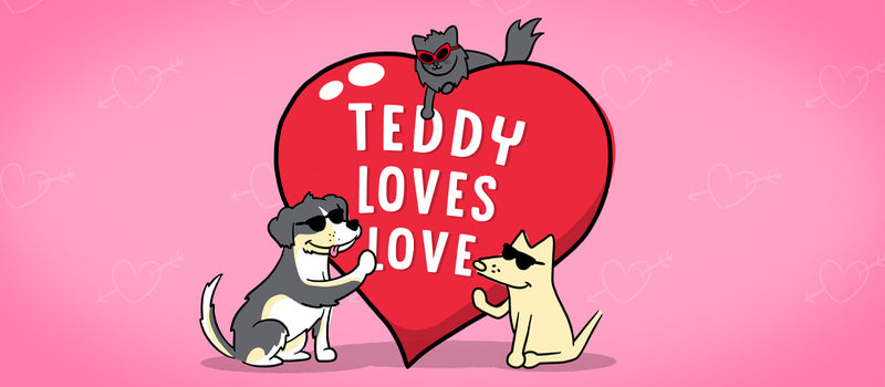 Teddy Loves Valentines – Page 2 – Teddy the Dog