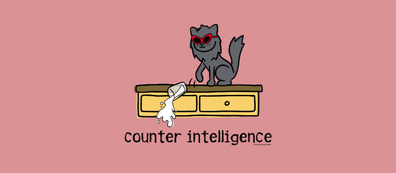 Tilly's Counter Intelligence – Teddy the Dog