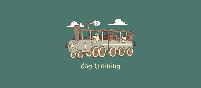 Dog Training – Teddy the Dog