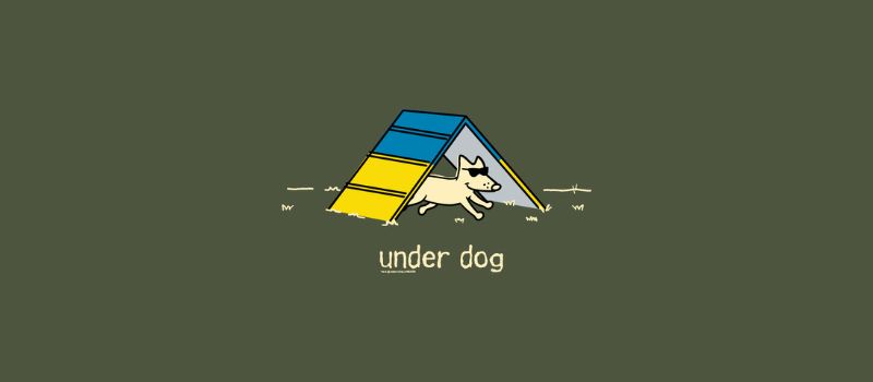 Under Dog – Teddy the Dog