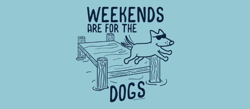 Weekends are for the Dogs – Teddy the Dog