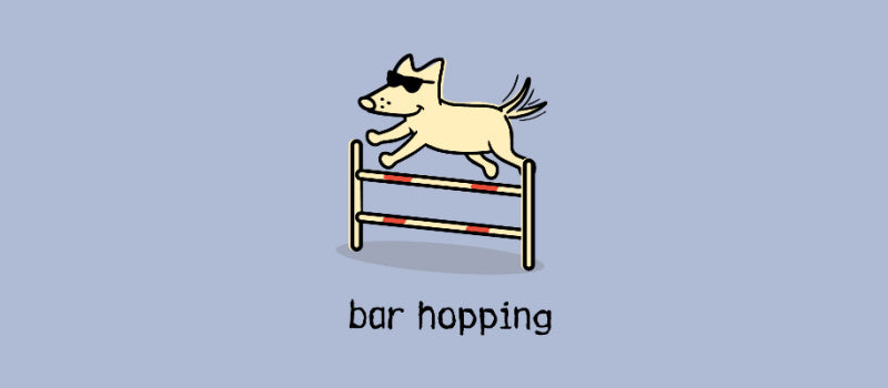 Bar Hopping – Teddy the Dog