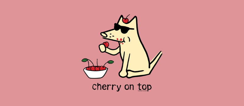 Cherry on Top – Teddy the Dog