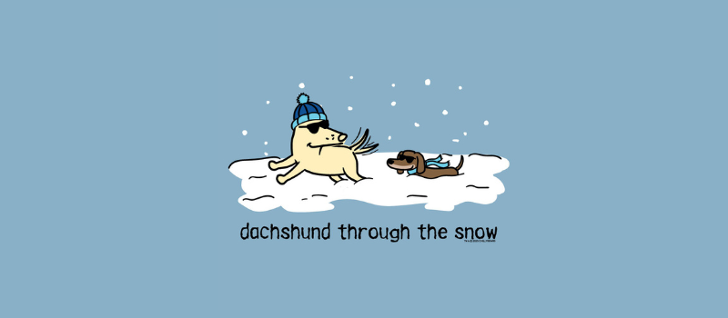 Dachshund Through the Snow – Tagged "ladies"– Teddy the Dog