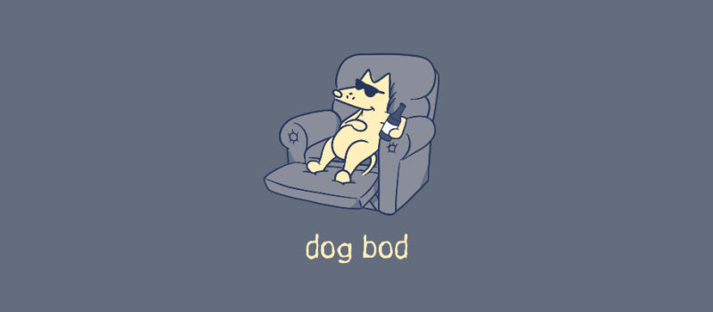 Dog Bod – Teddy the Dog