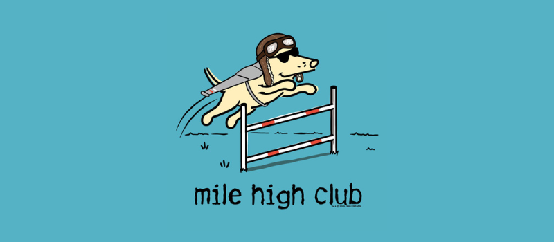 Mile High Club – Teddy the Dog