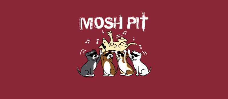 Mosh Pit – Teddy the Dog
