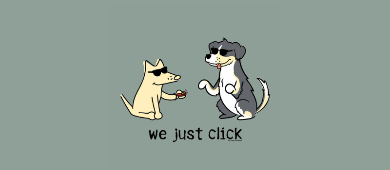 We Just Click – Teddy the Dog