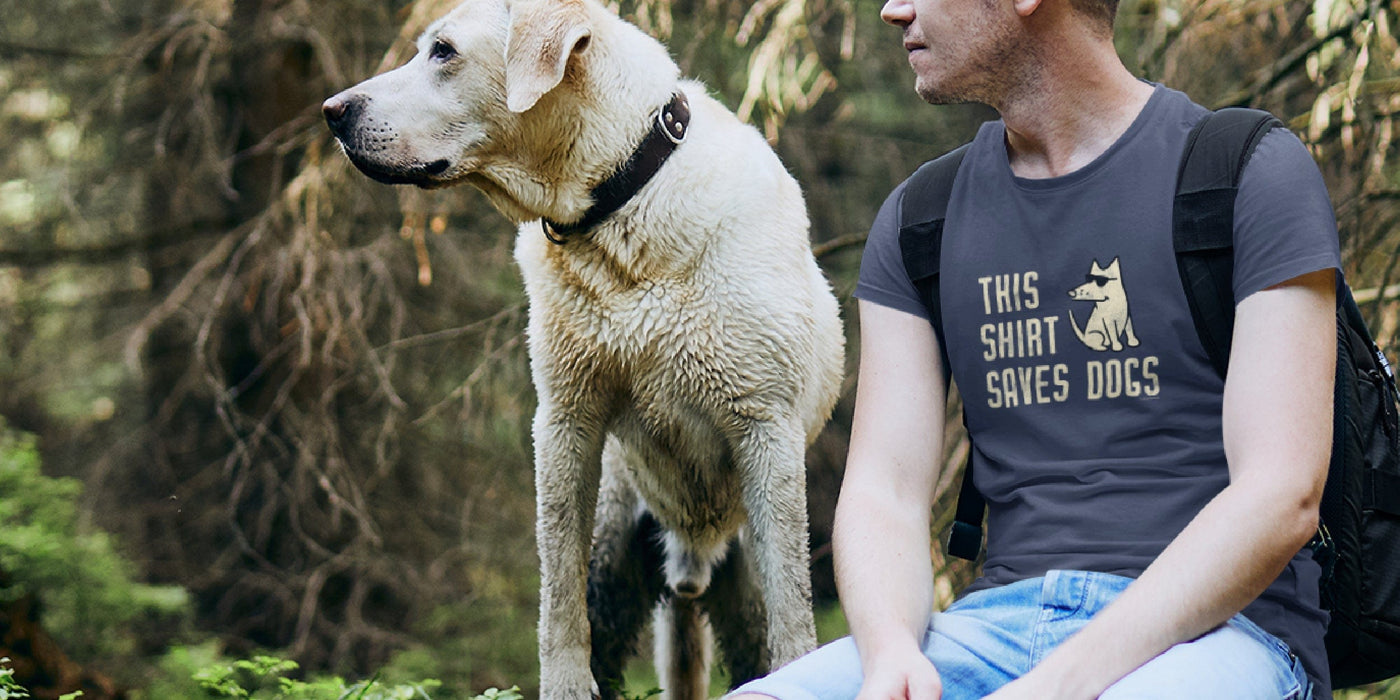 Dog Lover Gifts & T-Shirts | For the Pun of It | Teddy the Dog