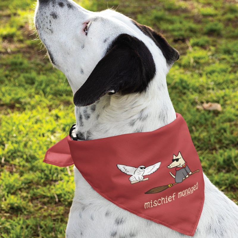Mischief Managed - Doggie Bandana – Teddy the Dog